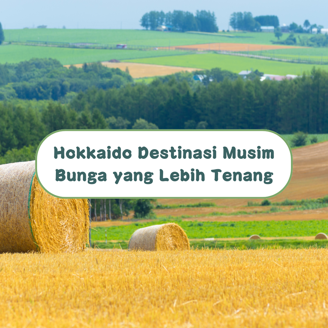 Hokkaido Destinasi Musim Bunga yang Lebih Tenang | JomJapan