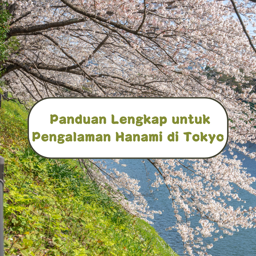 Musim Bunga di Tokyo : Panduan Lengkap untuk Pengalaman Hanami yang ...
