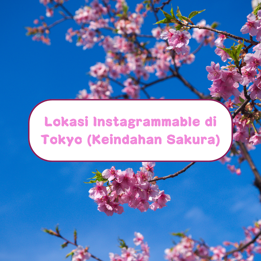Fotografi Musim Bunga : Lokasi Instagrammable di Tokyo untuk Menangkap ...