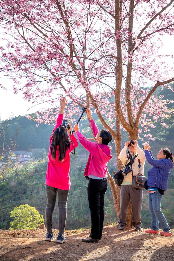 Tips Berpakaian Musim Bunga | JomJapan