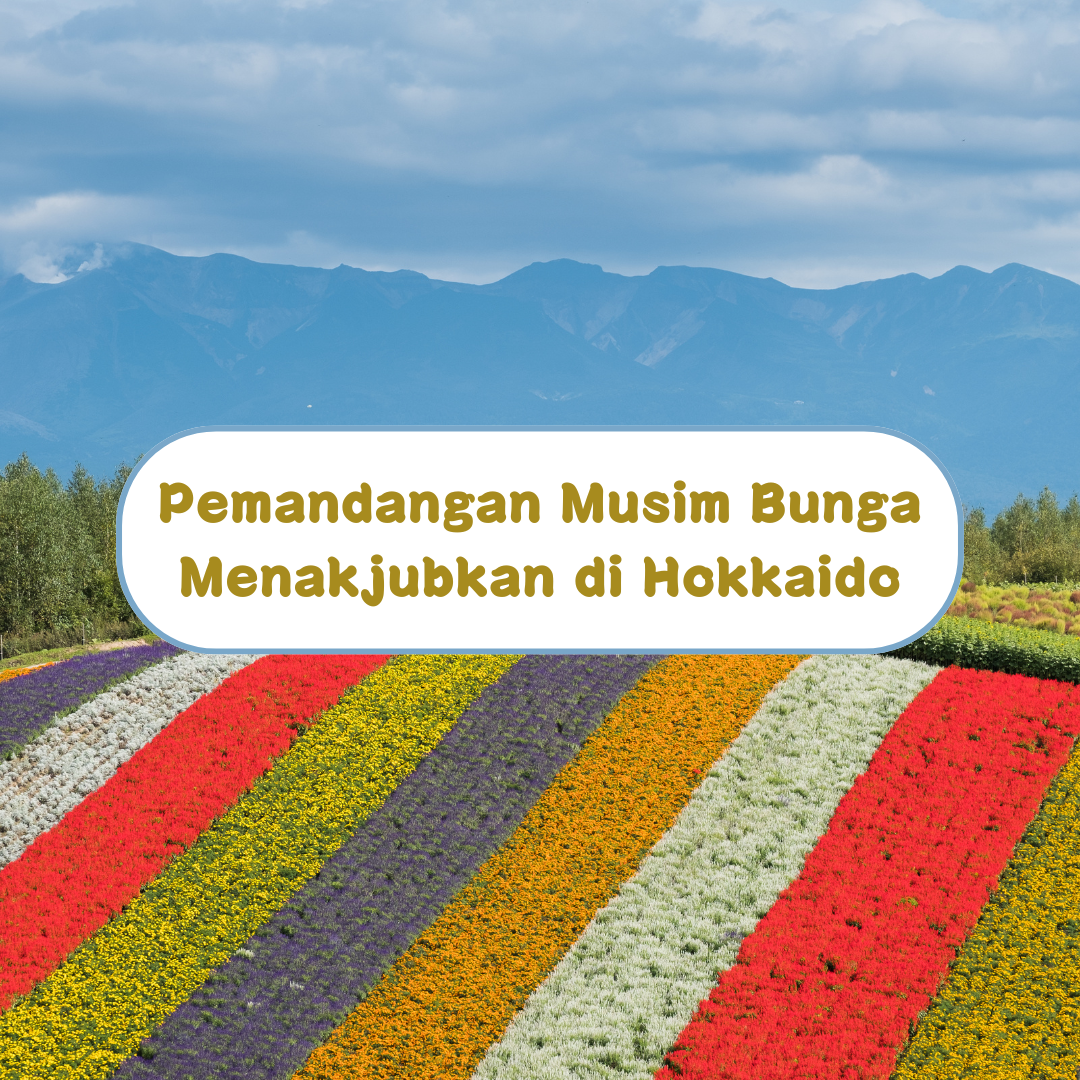 Pemandangan Musim Bunga yang Menakjubkan : Dari Rusa Hingga Ladang ...