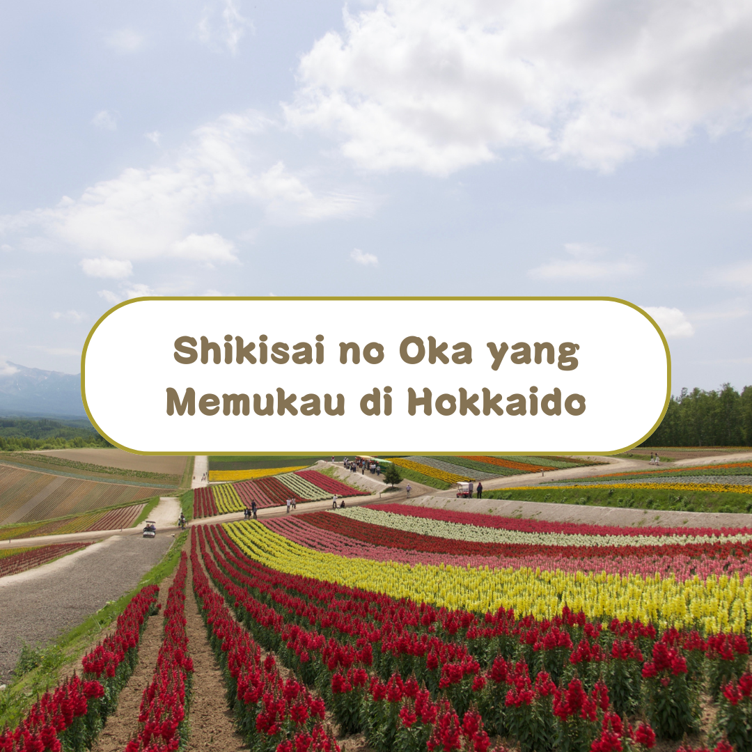Shikisai no Oka yang Memukau di Hokkaido | JomJapan